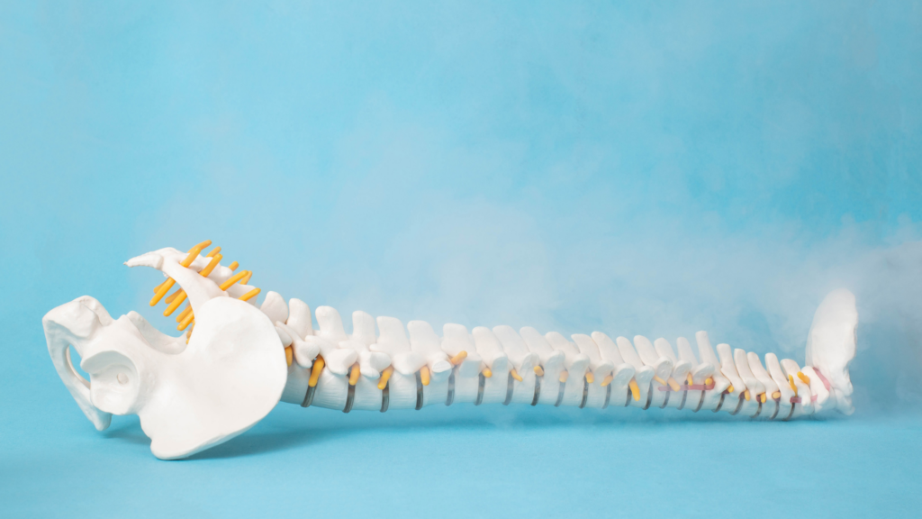 Ankylosing Spondylitis: The Facts | Southeast Pain & Spine Care